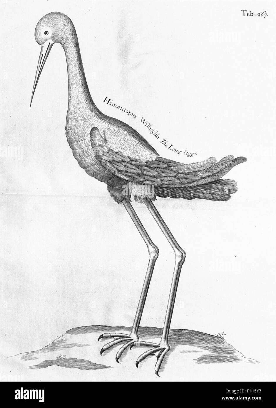 This 1707 travel account describes a voyage to the Caribbean islands of ...