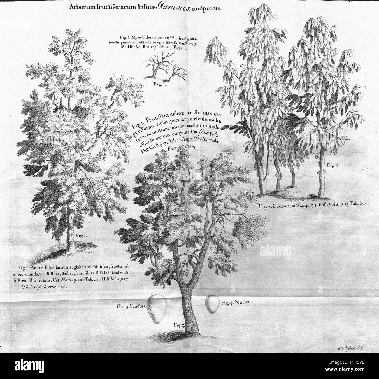 A voyage to the islands Madera, Barbados, Nieves, S. Christophers and ...