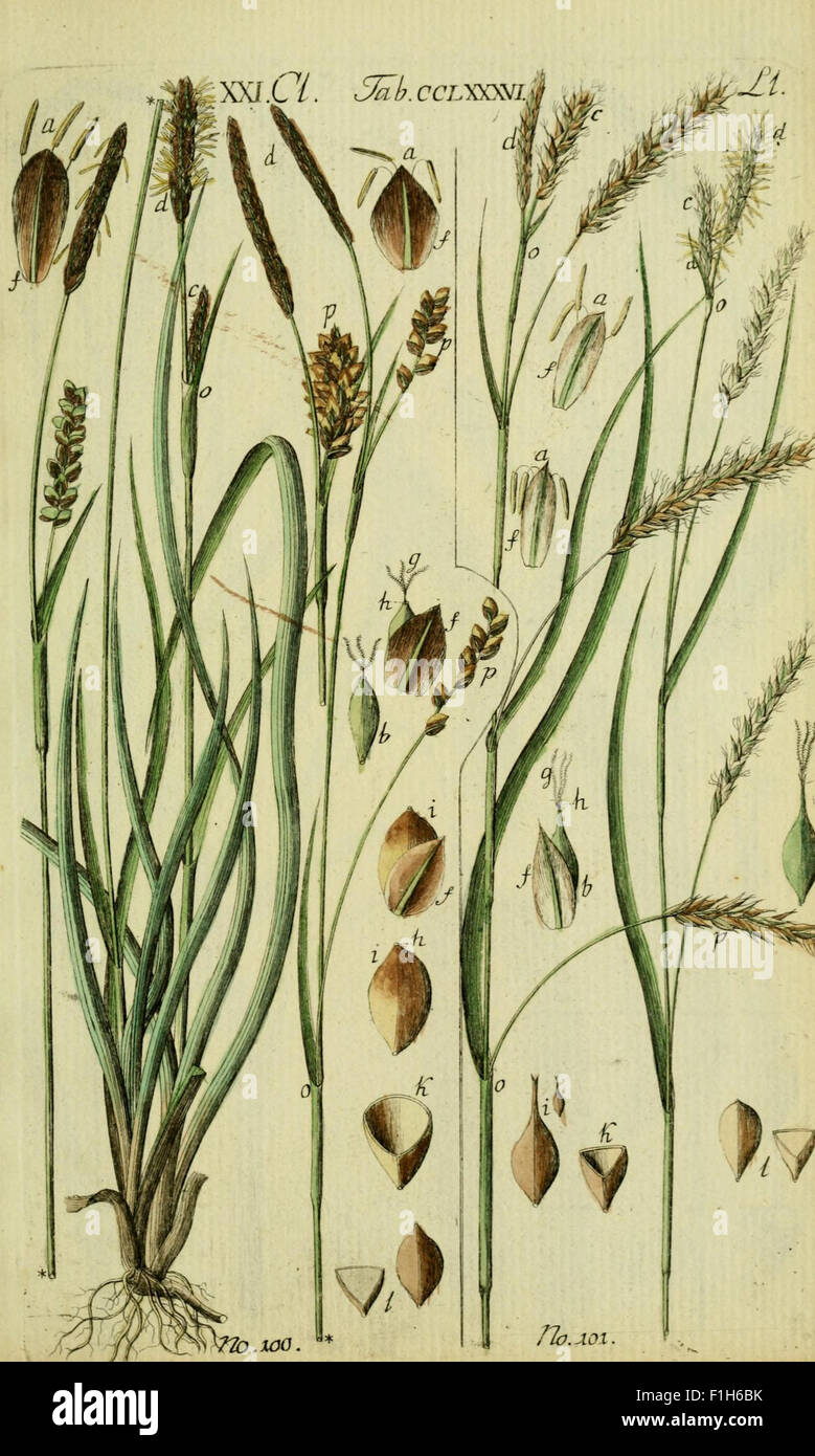 This work provides a detailed description and illustration of known and ...