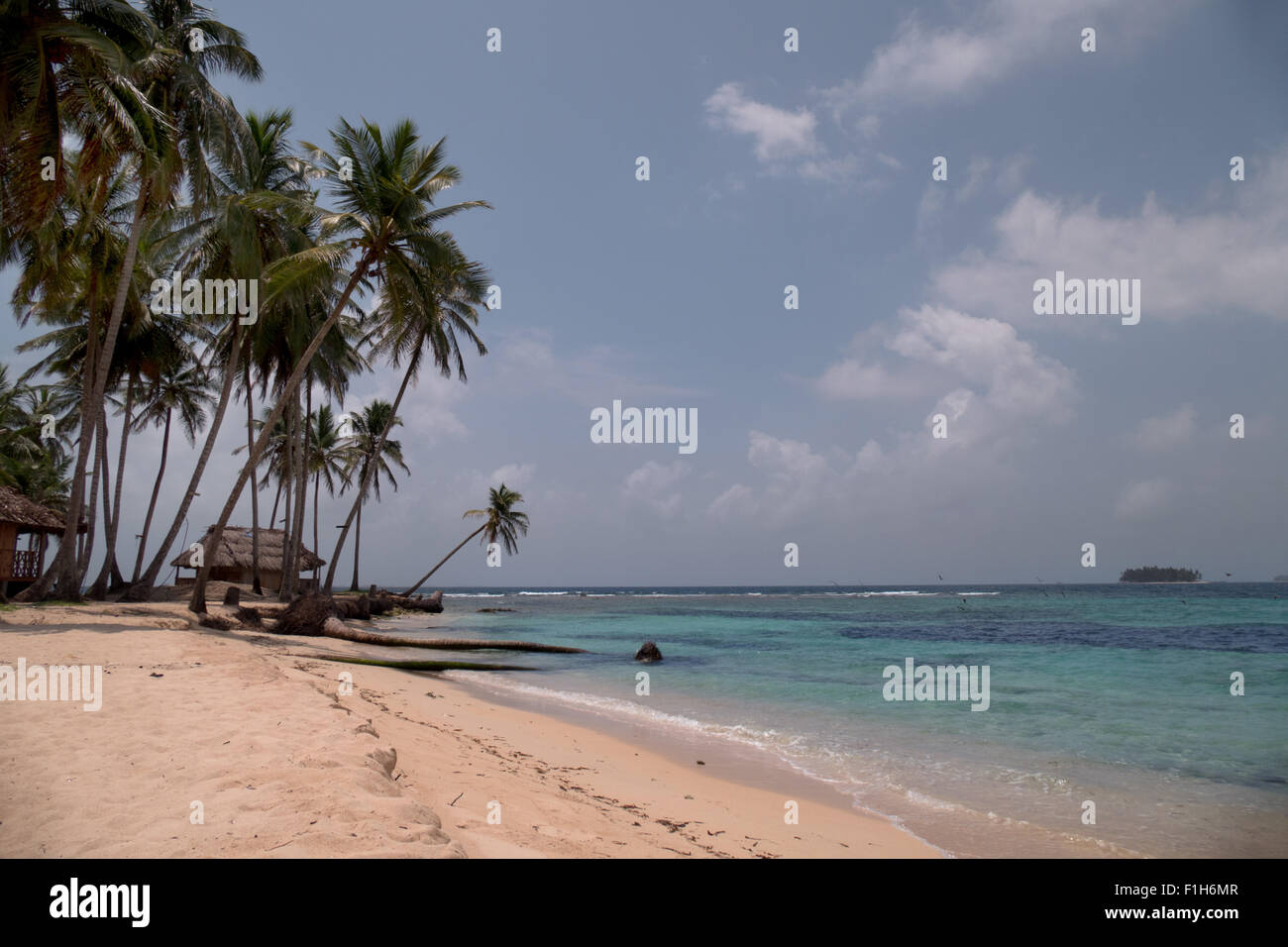 Isla Aguja, archipelago of San Blas islands, Panama, Central America ...