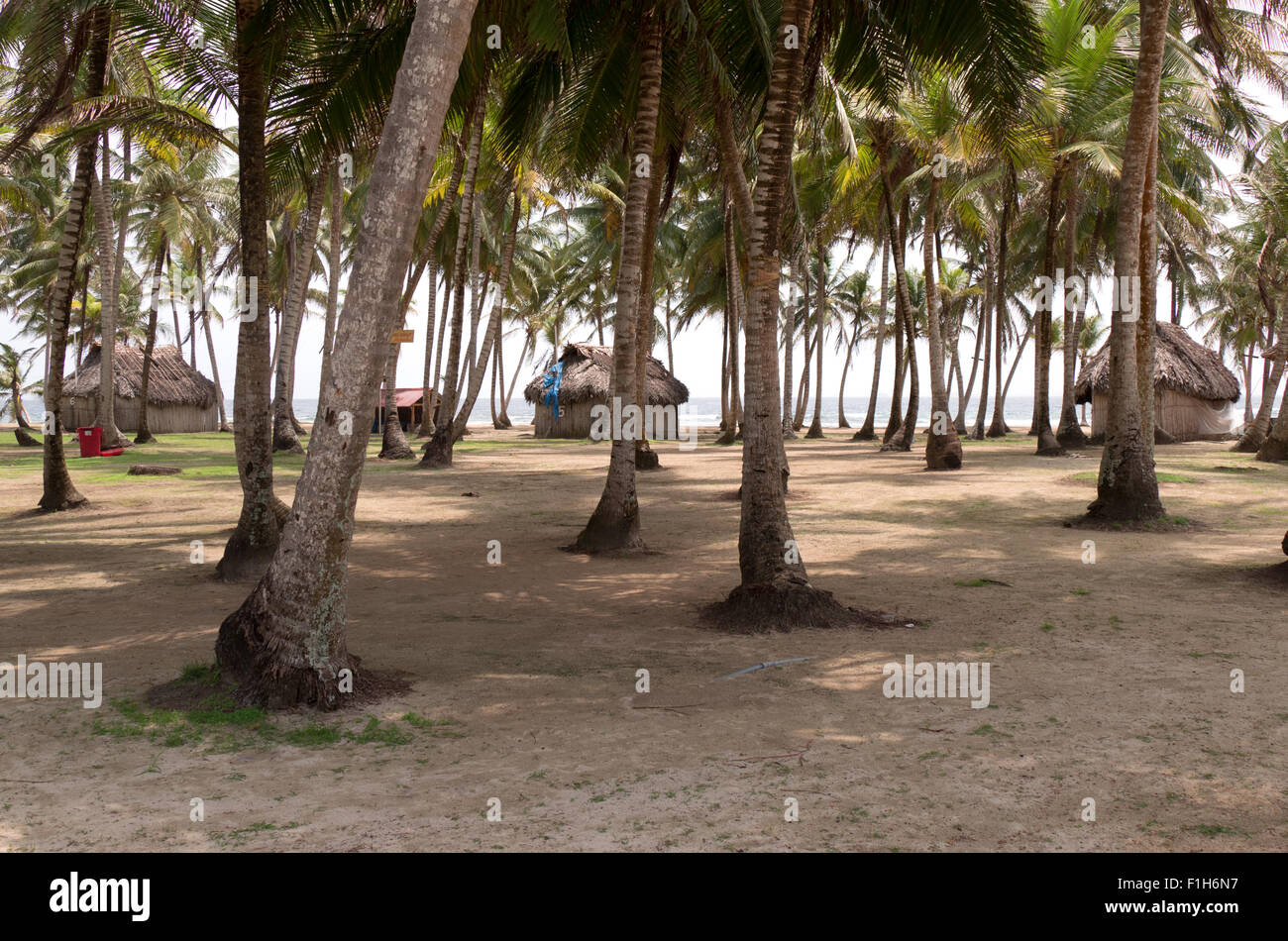 Isla Aguja, archipelago of San Blas islands, Panama, Central America ...