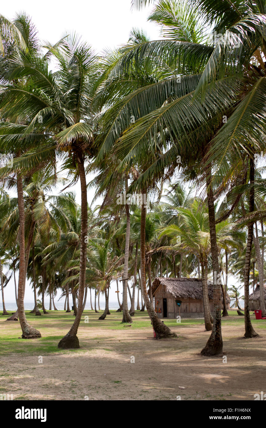 Isla Aguja, archipelago of San Blas islands, Panama, Central America ...