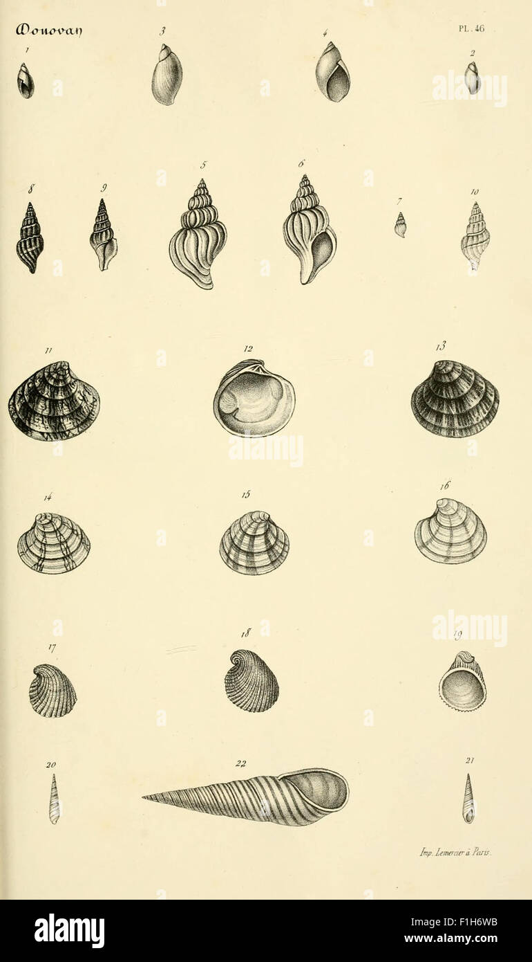 This historic work catalogues the mollusk and shell collections ...