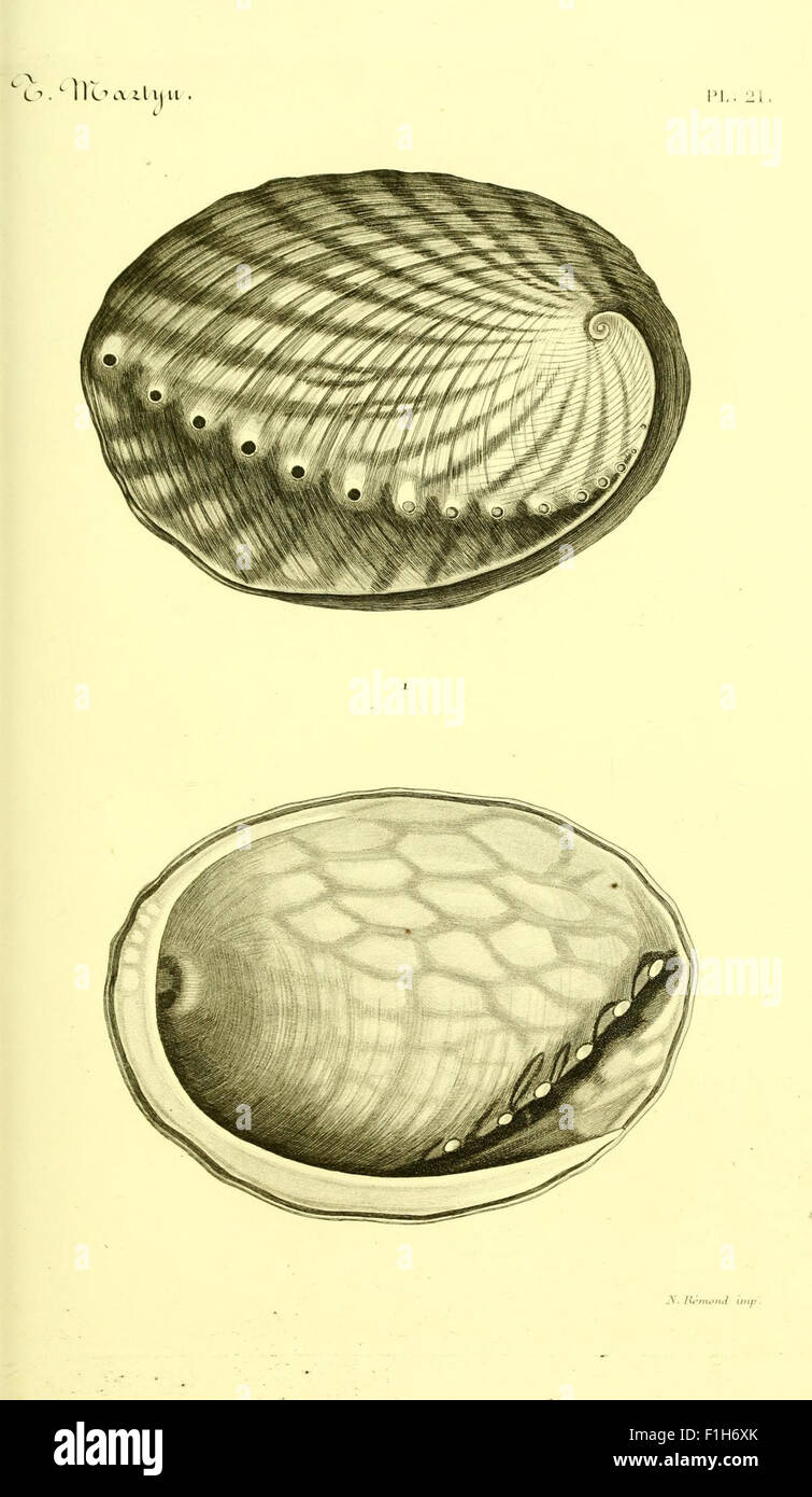 This illustration from the Bibliothèque conchyliologique displays ...