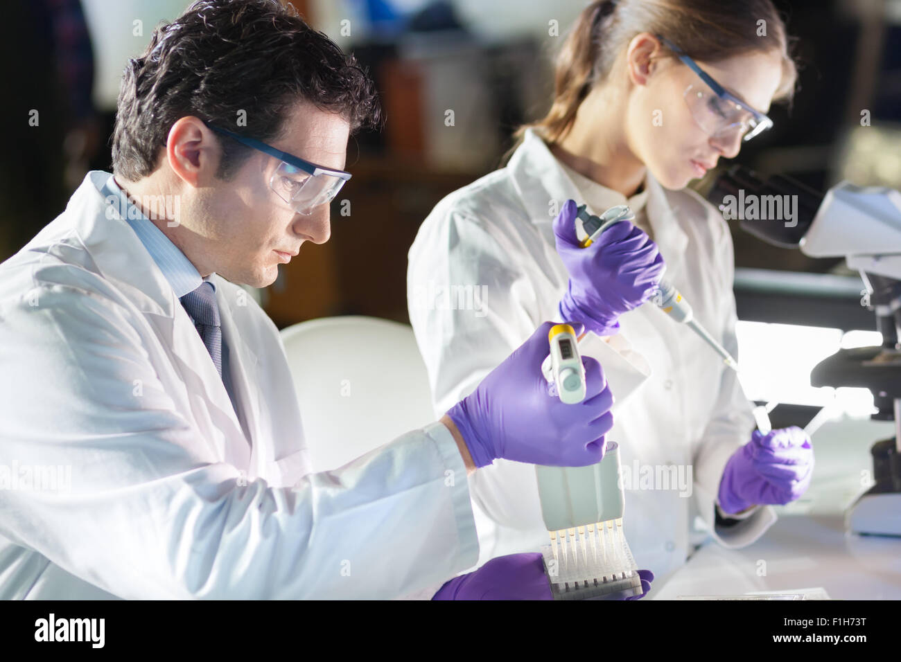 Life scientist researching in the laboratory Stock Photo - Alamy