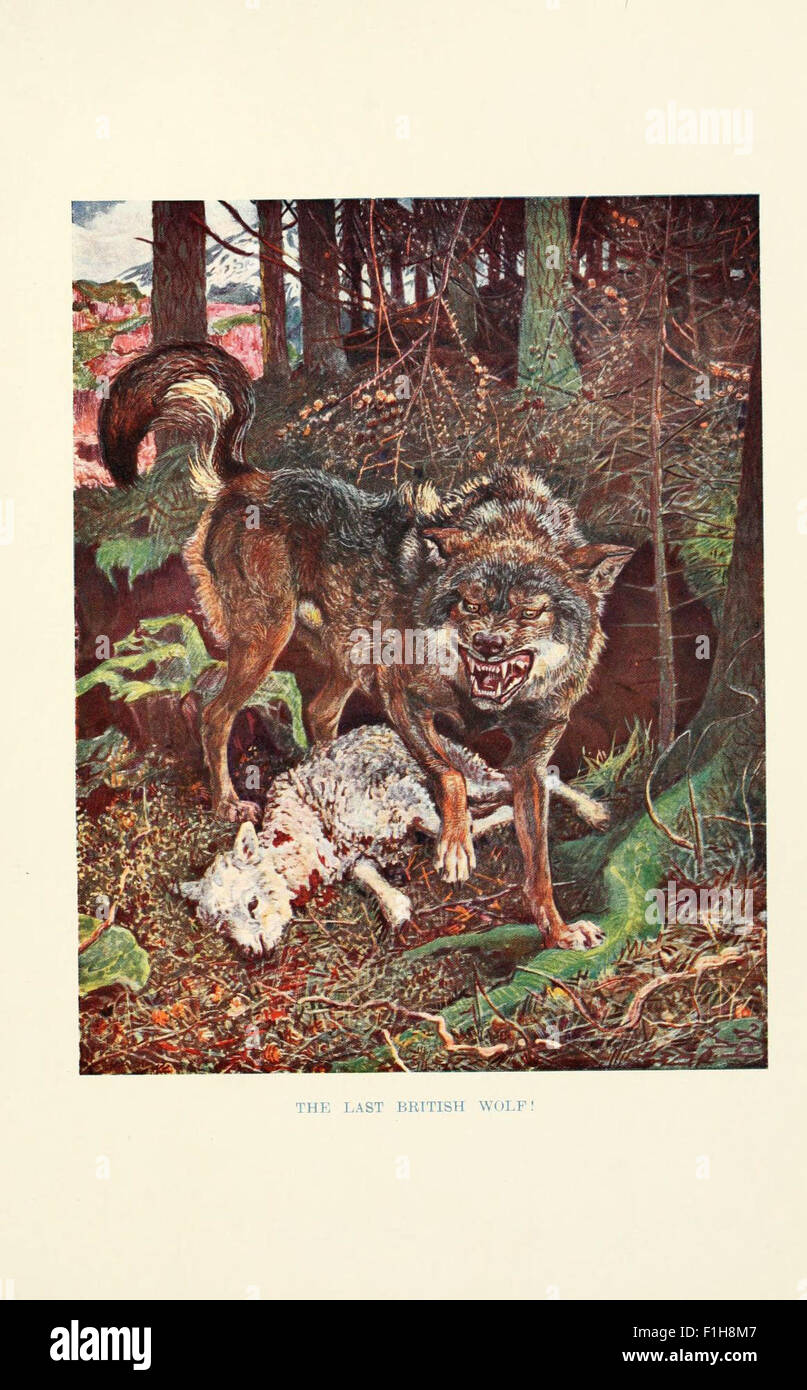 A detailed study of British mammals, providing information on species ...