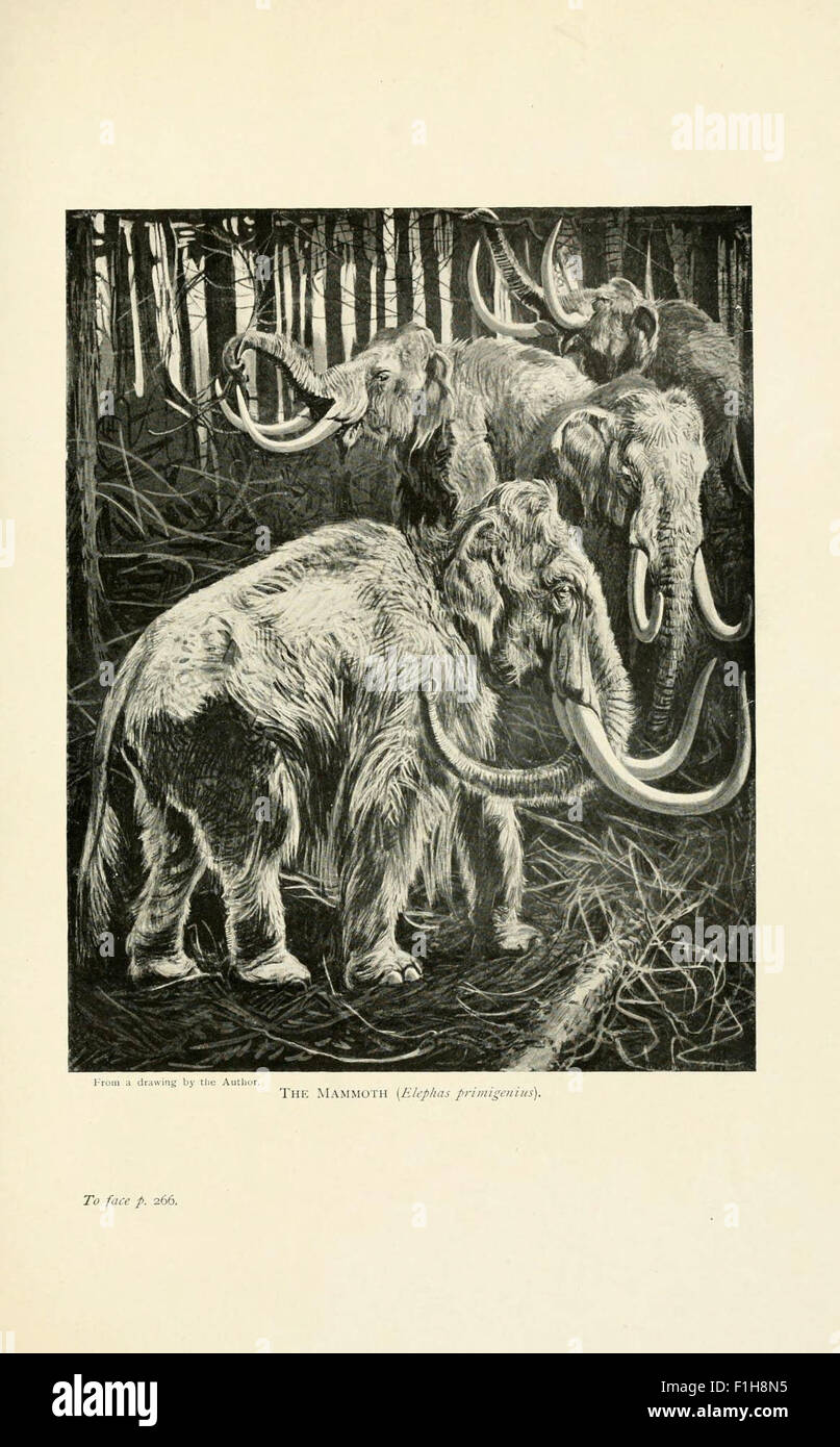 This book offers a comprehensive overview of British mammals, featuring ...