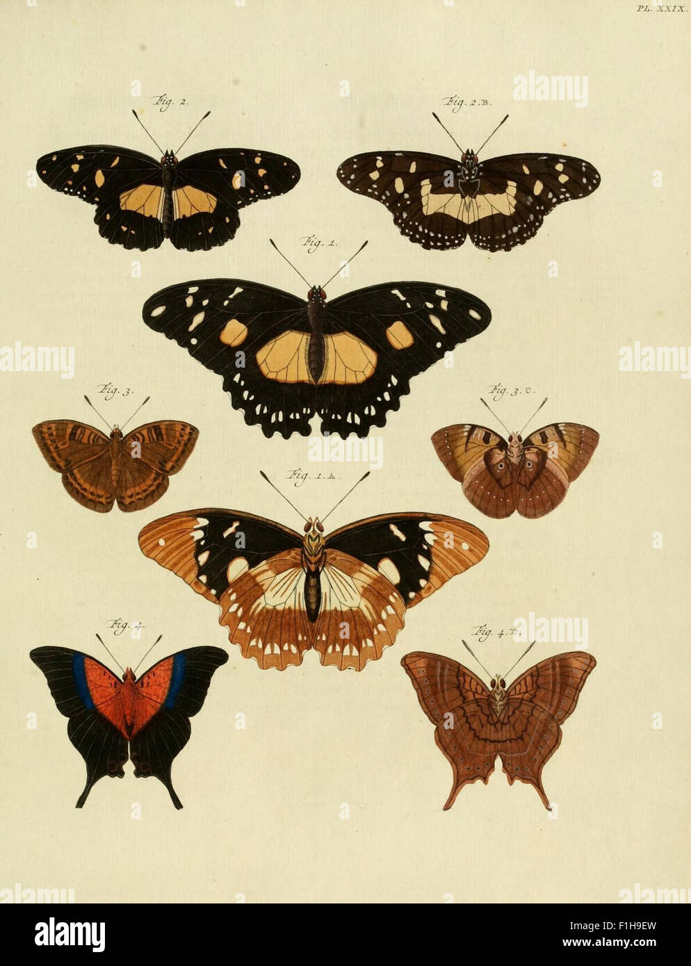 *Aanhangsel van het Werk, De Uitlandsche Kapellen* is a Dutch work ...