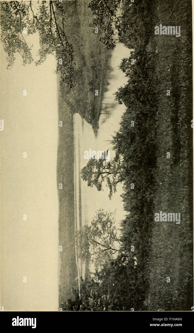 'Cape Cod and the Old Colony' (1921) is a historical publication ...