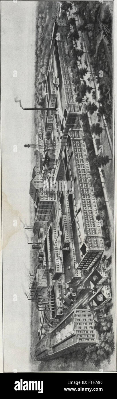 *Carey's Coverings, Catalog No. 411* (1911) presents a catalog of ...