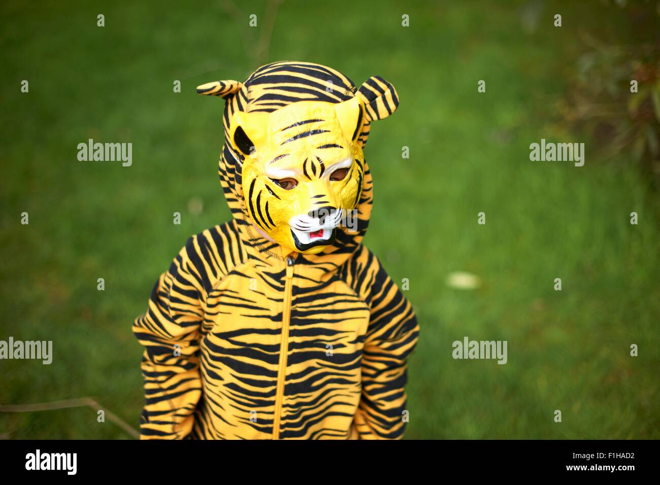 Young child dressed as tiger Stock Photo - Alamy