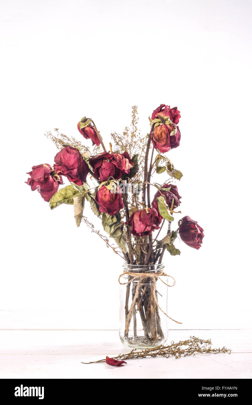 Bouquet of red dried roses in glass vase on white background Stock ...