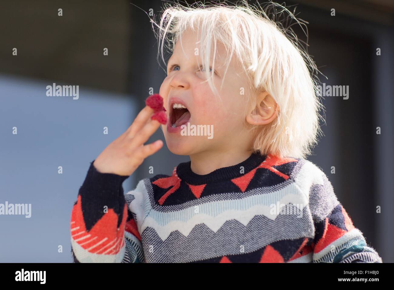 Boy with raspberries on fingers Stock Photo - Alamy