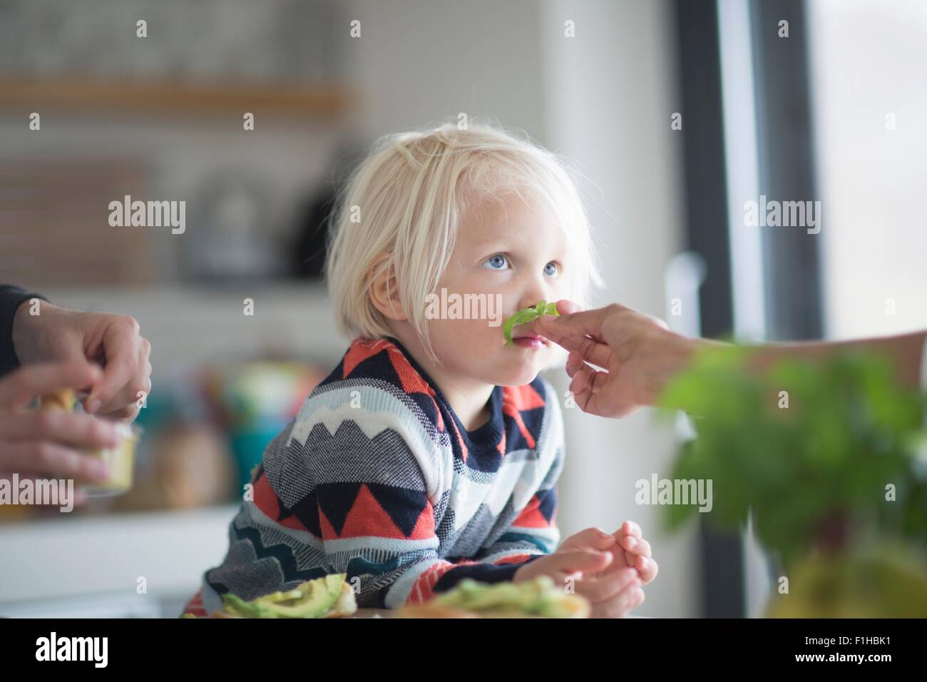 Boy smelling fresh herbs Stock Photo - Alamy