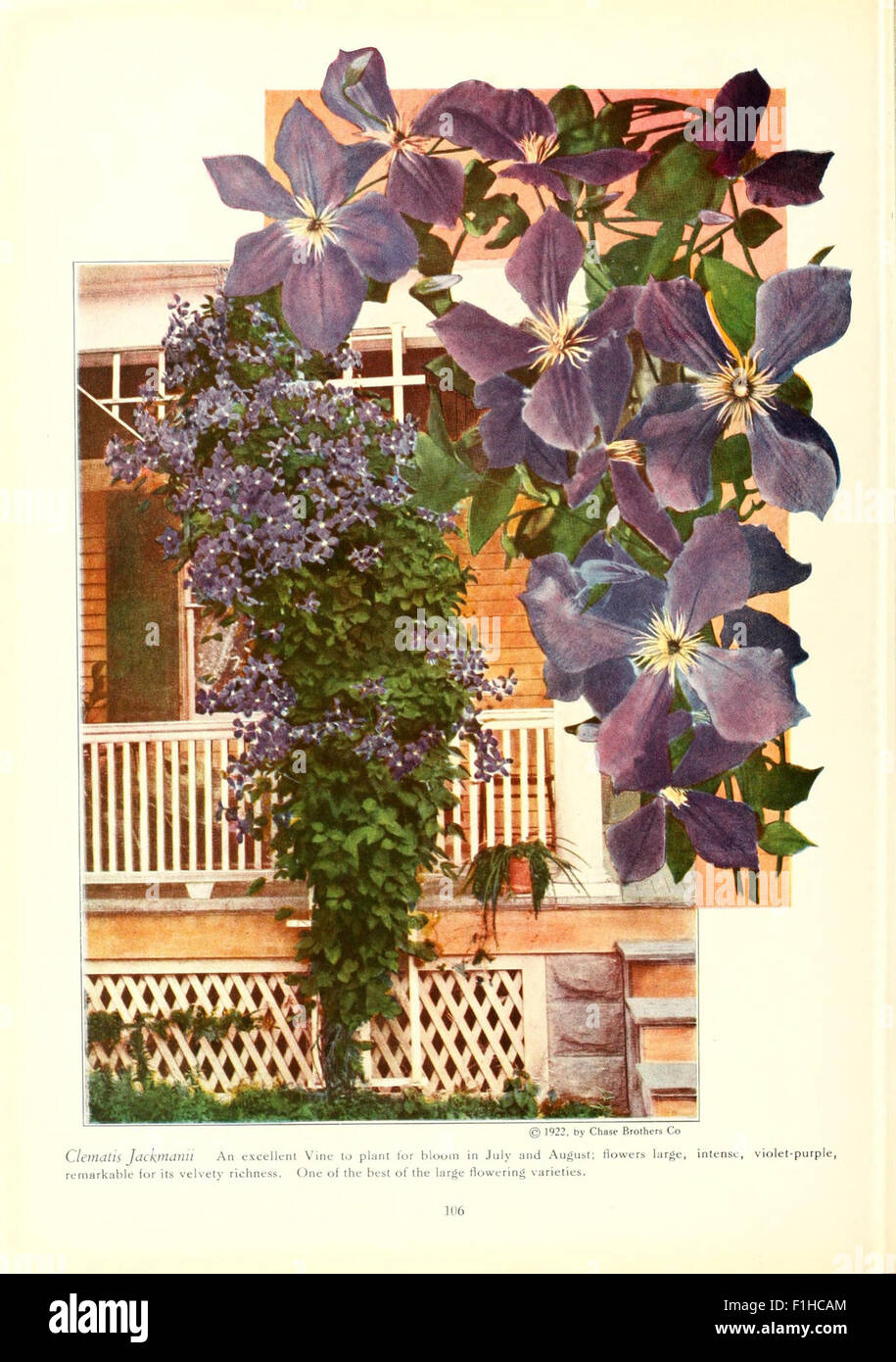 *Chase Fruit and Flowers in Natural Colors* features botanical ...