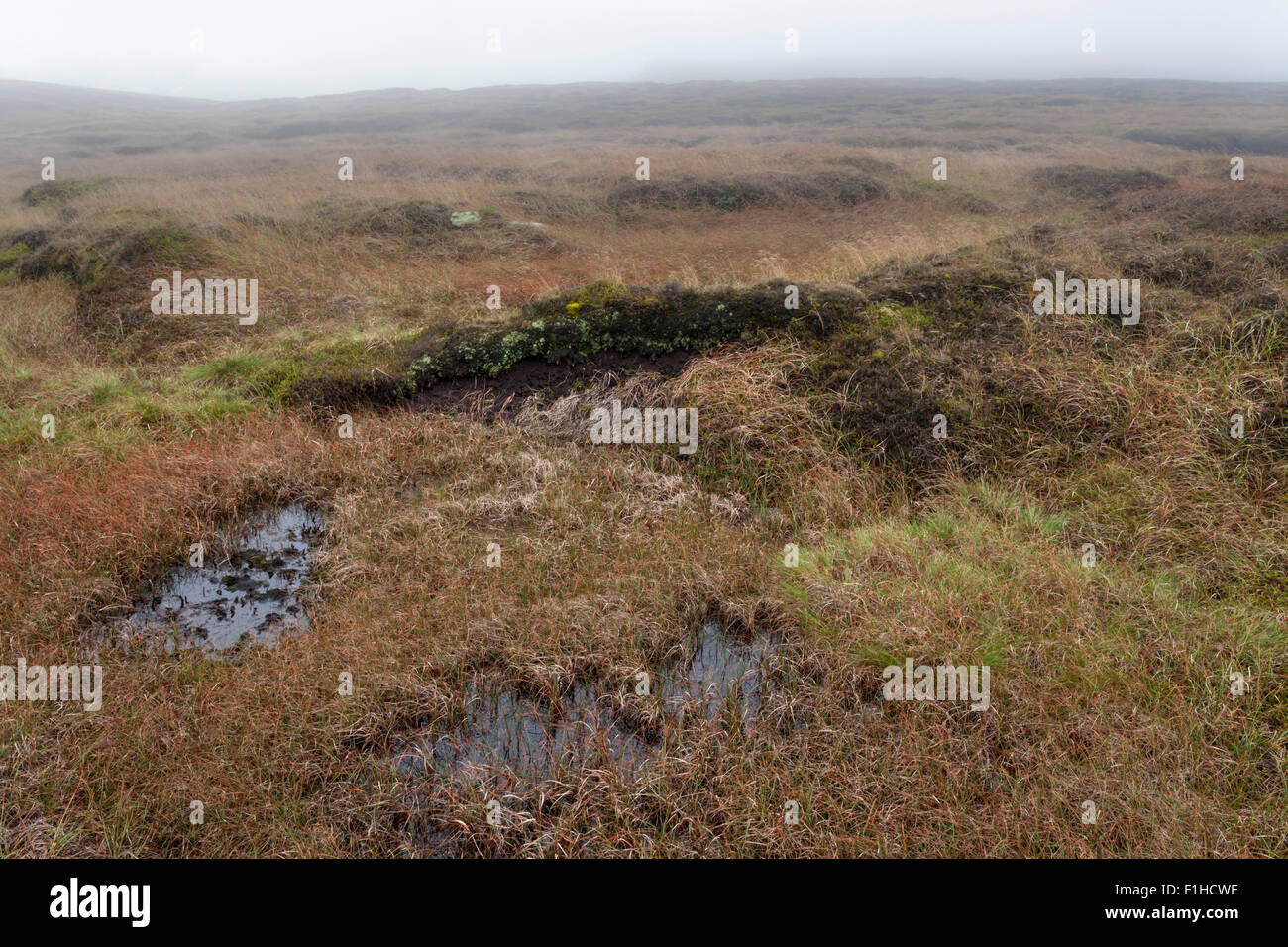 Misty moors hi-res stock photography and images - Alamy