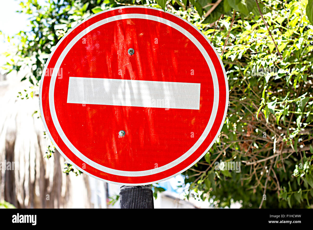 A red stop sign with trees in the background Stock Photo - Alamy