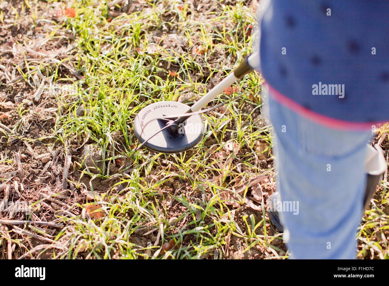 Children using metal detector hi-res stock photography and images - Alamy