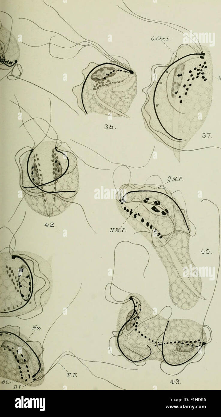 The 'Collected Papers' (1904) is a compilation of academic works ...