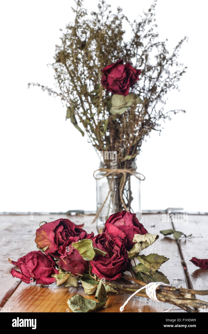 dried roses isolated on white background Stock Photo - Alamy