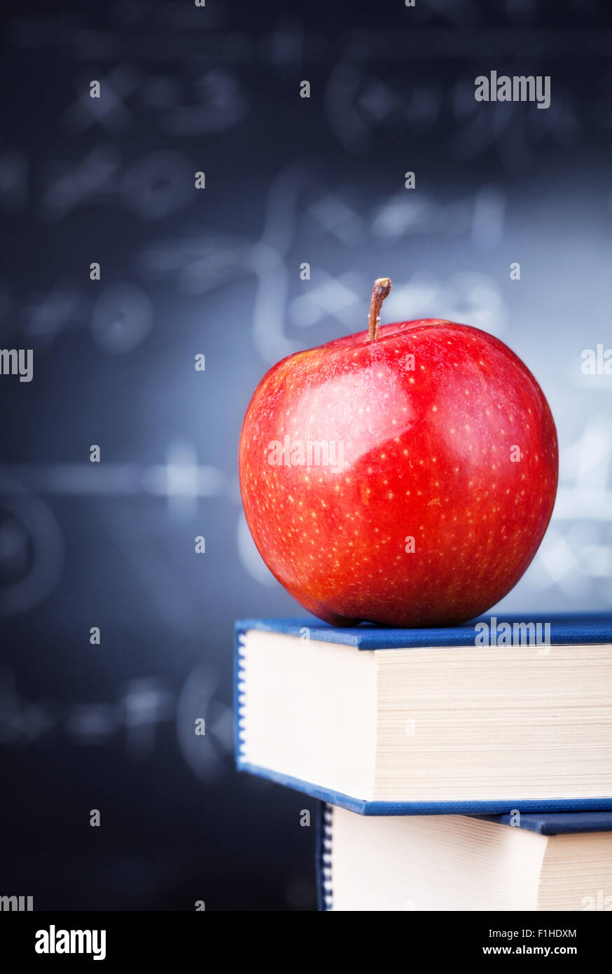 Study school lesson back hi-res stock photography and images - Alamy