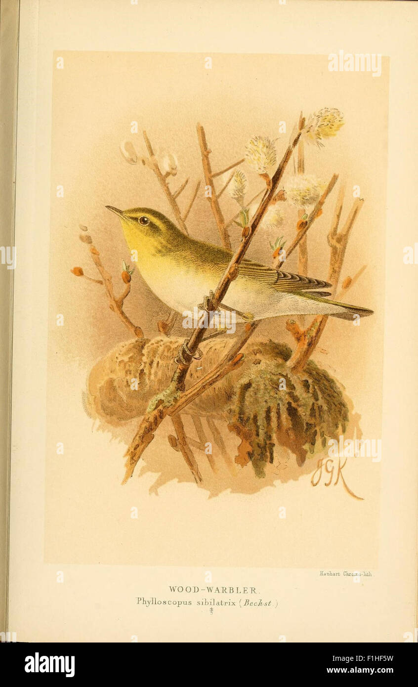 This work, issued by Lord Lilford, features colored illustrations of ...