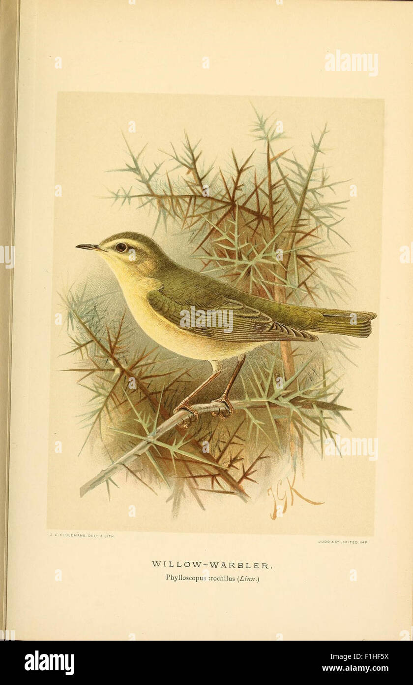 Coloured figures of the birds of the British Islands - issued by Lord ...
