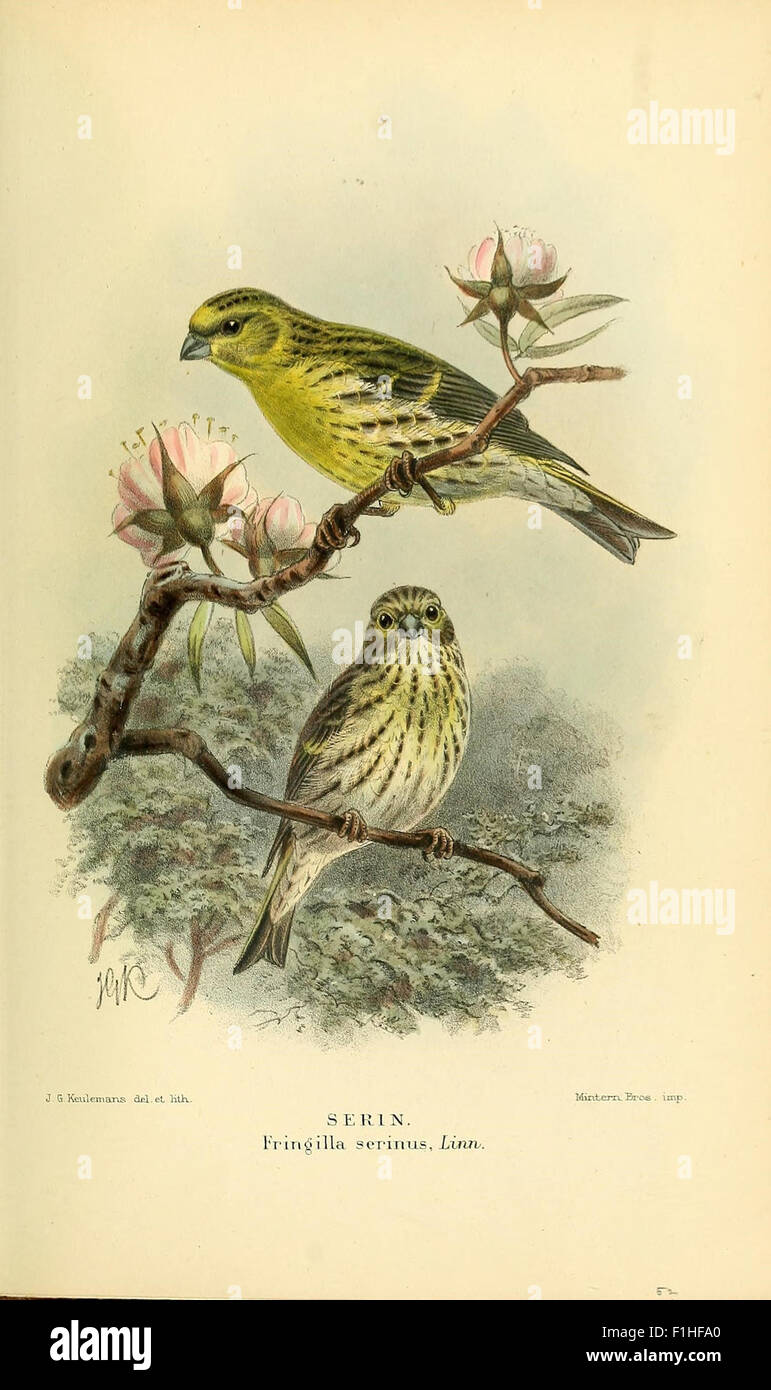 This illustrated work, issued by Lord Lilford, features coloured ...