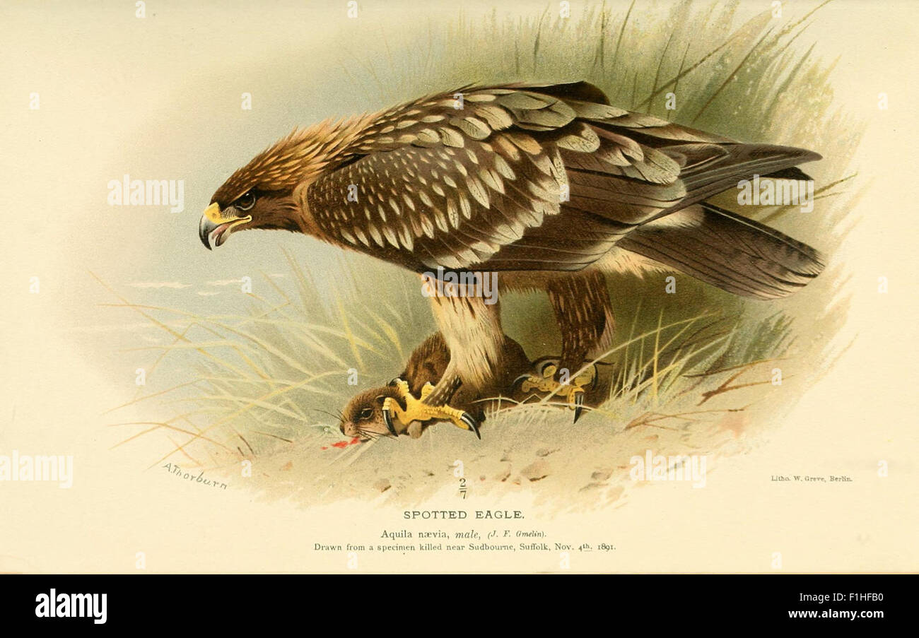 This work, issued by Lord Lilford, provides detailed, colored ...