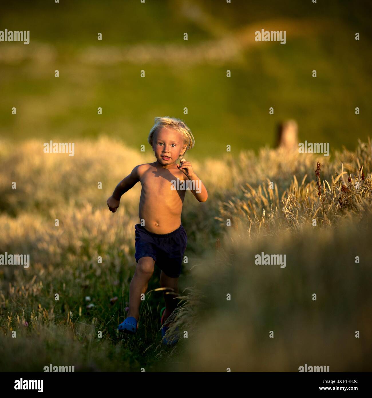 Young boy running through field Stock Photo - Alamy