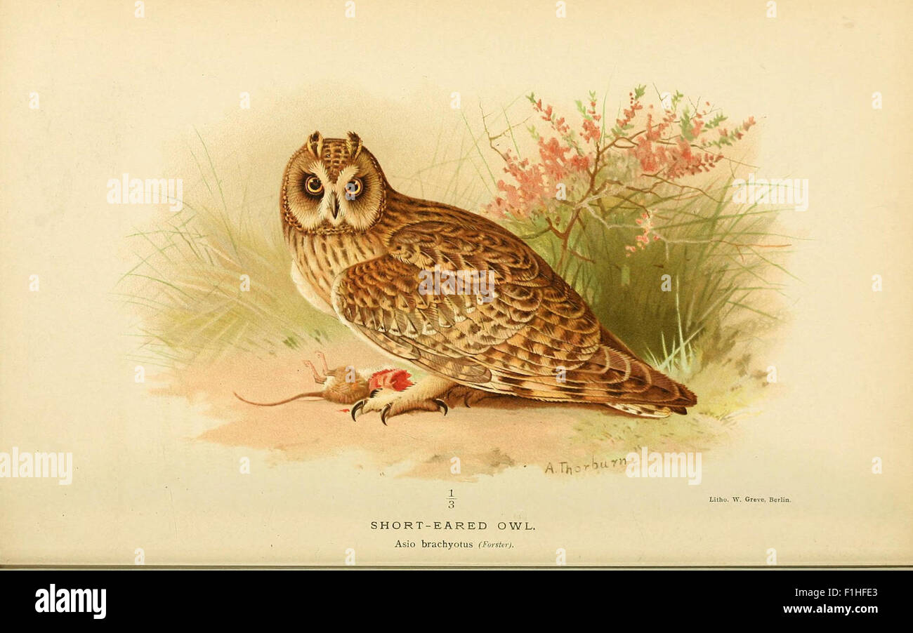 This work by Lord Lilford features detailed, hand-colored illustrations ...
