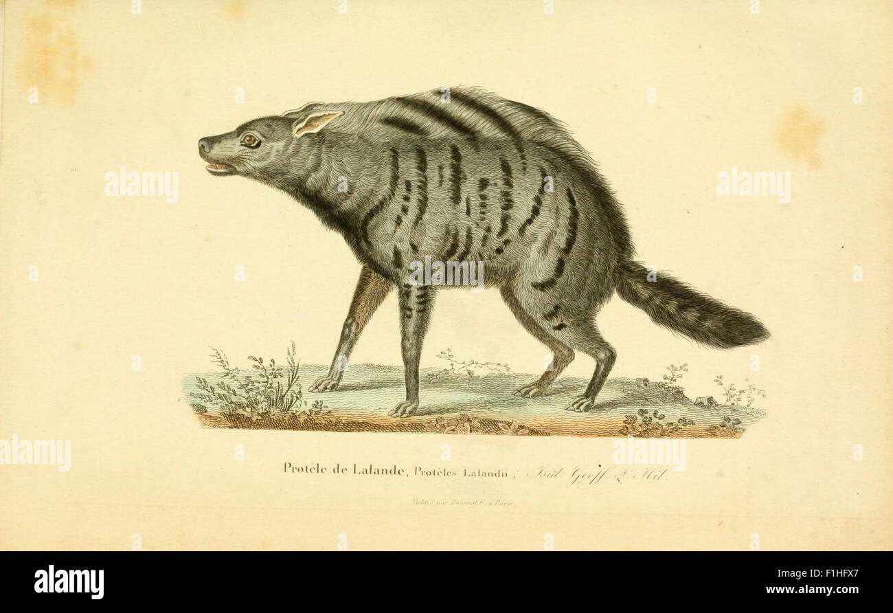 'Compléments de Buffon' is an important text that expands on the works ...