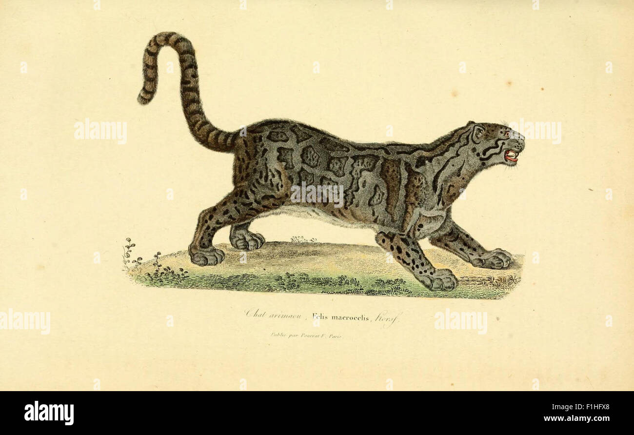 *Compléments de Buffon* is an extension of Georges-Louis Leclerc, Comte ...