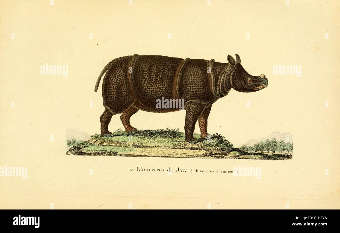 'Compléments de Buffon' is an extension of the works of the famous ...