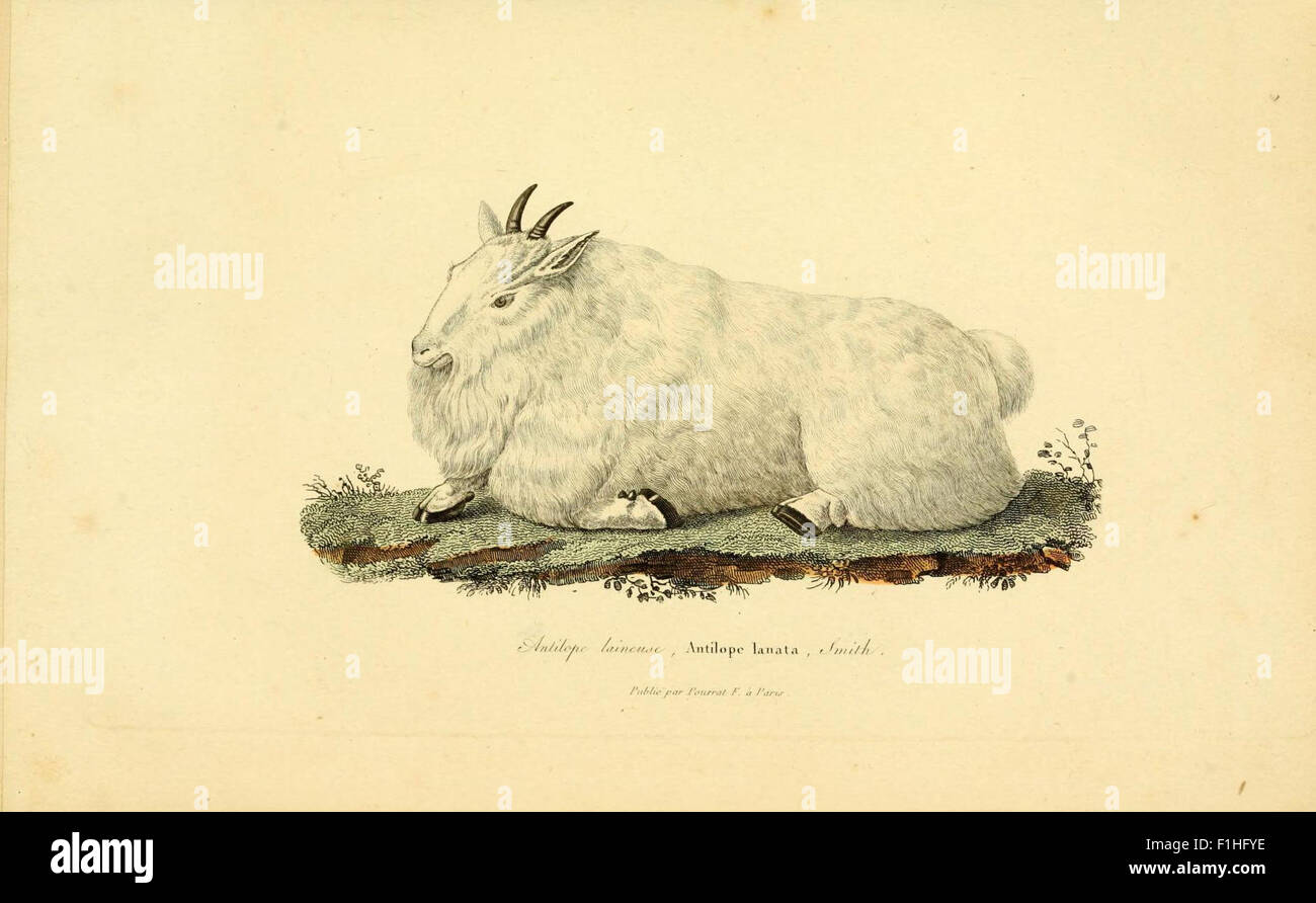 'Compléments de Buffon' is a continuation of the work by Georges-Louis ...