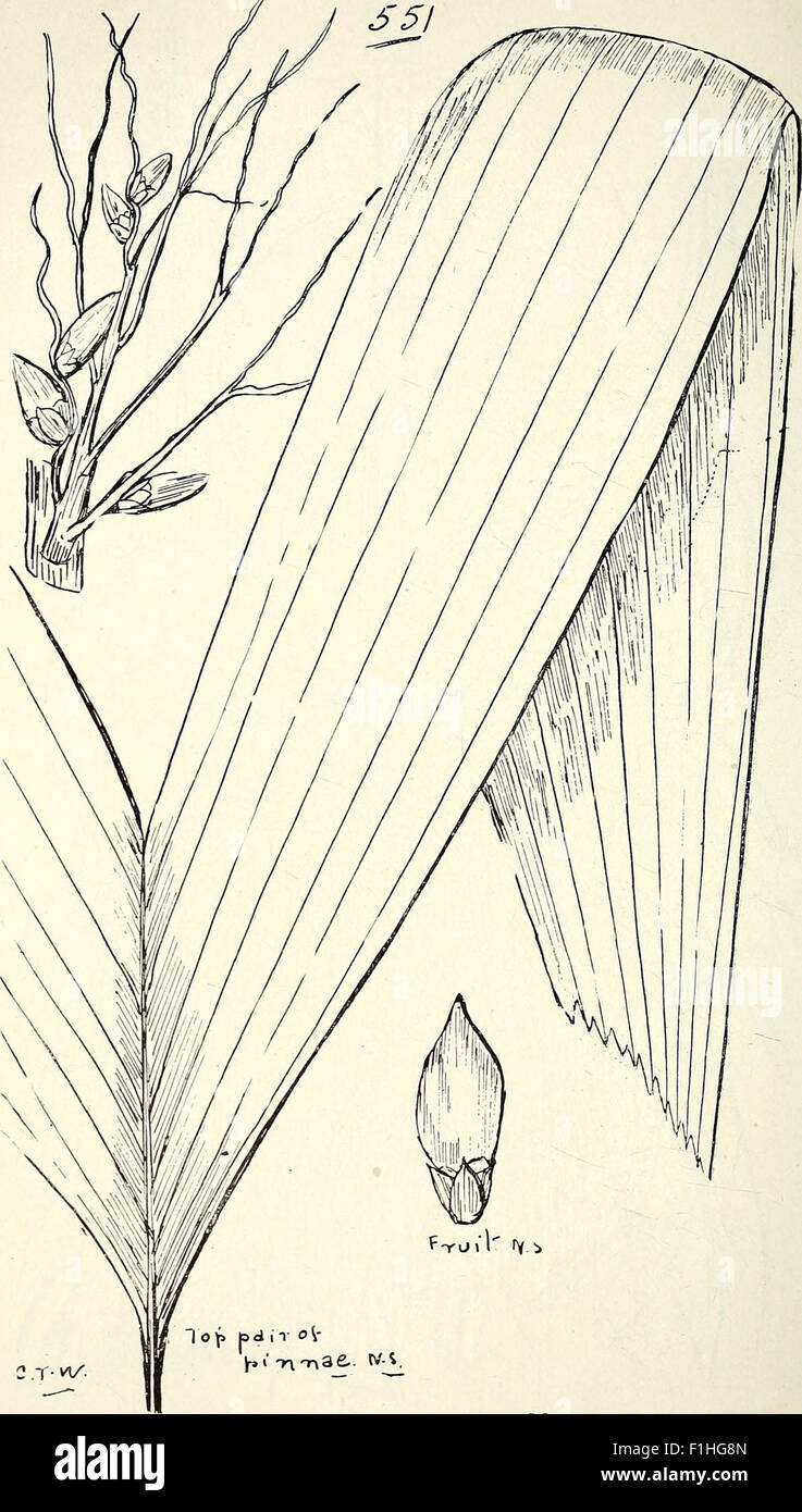 (Repeated entry) Comprehensive catalogue details Queensland's ...