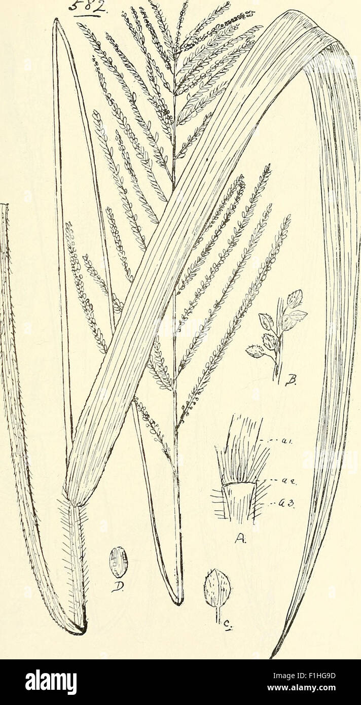 This catalogue provides a comprehensive list of both indigenous and ...