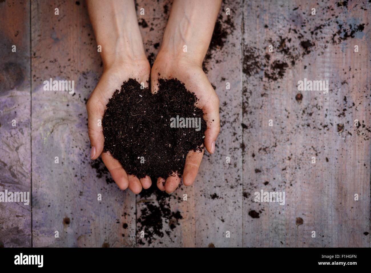 High angle view of cupped hands holding soil Stock Photo - Alamy
