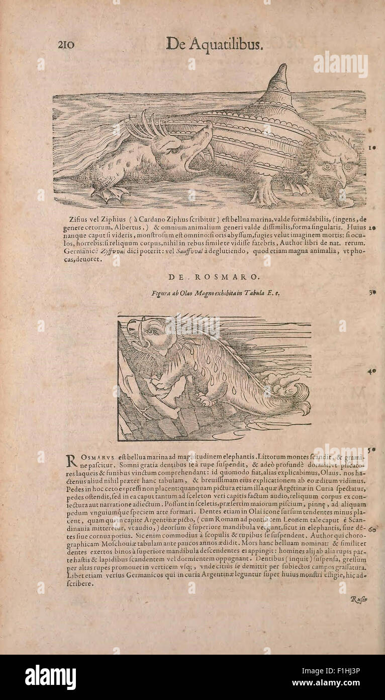 This 16th-century text by Conrad Gesner covers various animal species ...