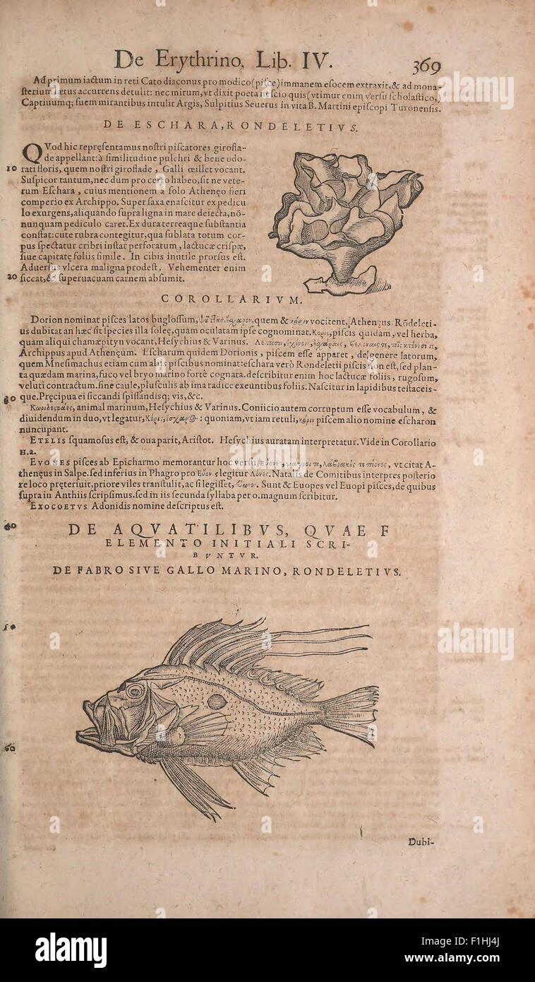 ‘Historiae animalium liber IV’ by Conrad Gesner, a foundational ...