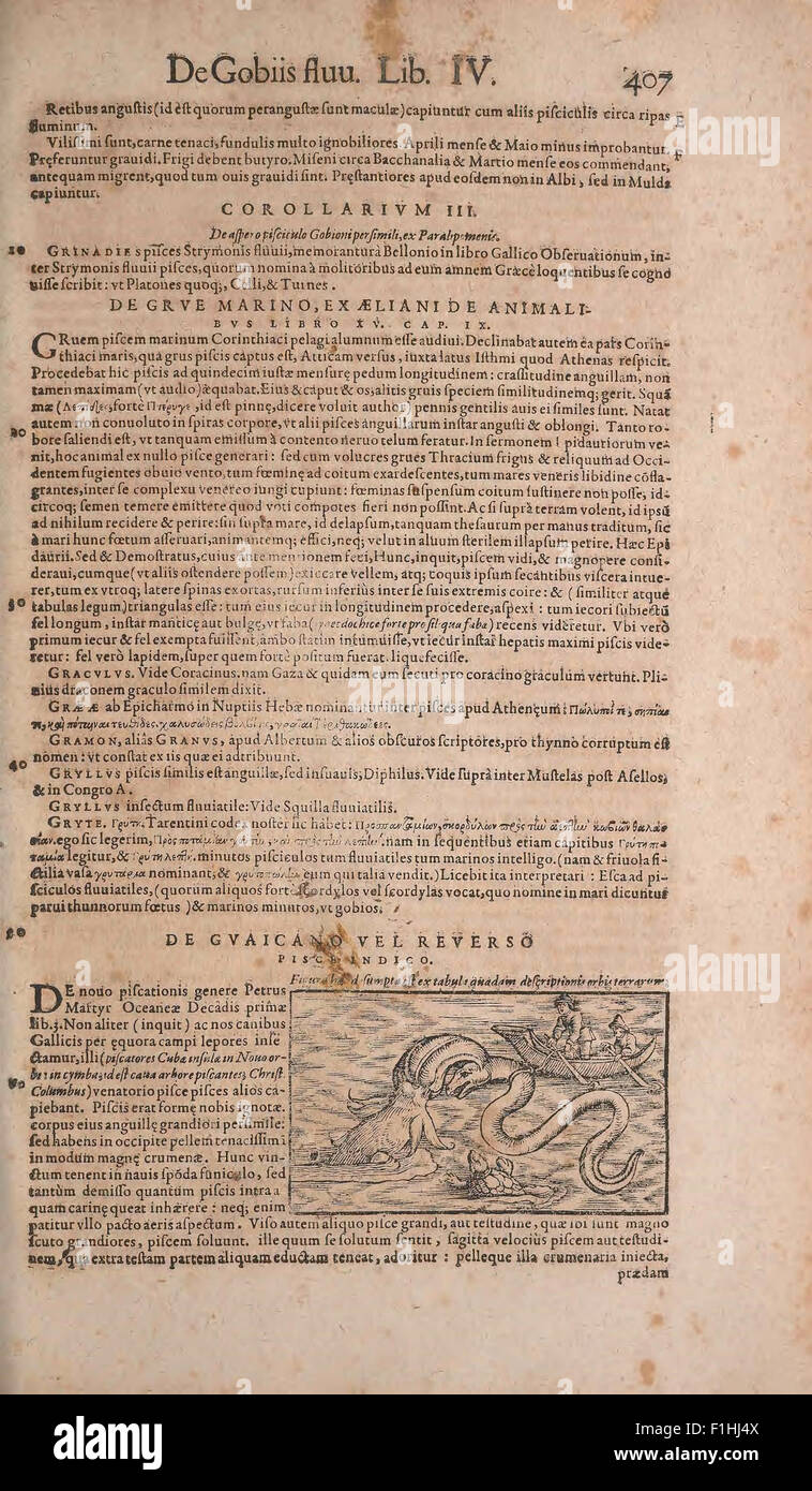 'Historiae Animalium' by Conrad Gesner, a pioneering work of zoology ...