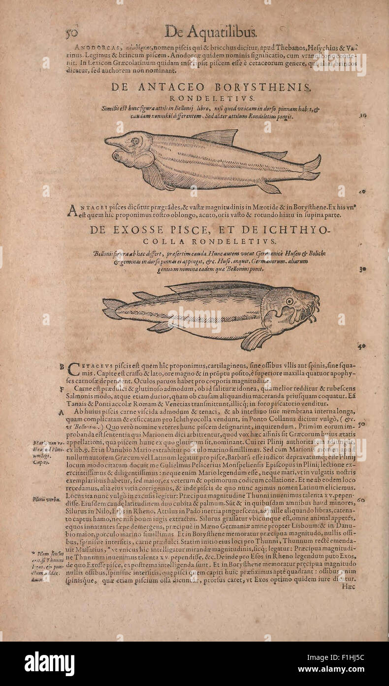 This 16th-century text by Conrad Gesner offers a comprehensive study of ...