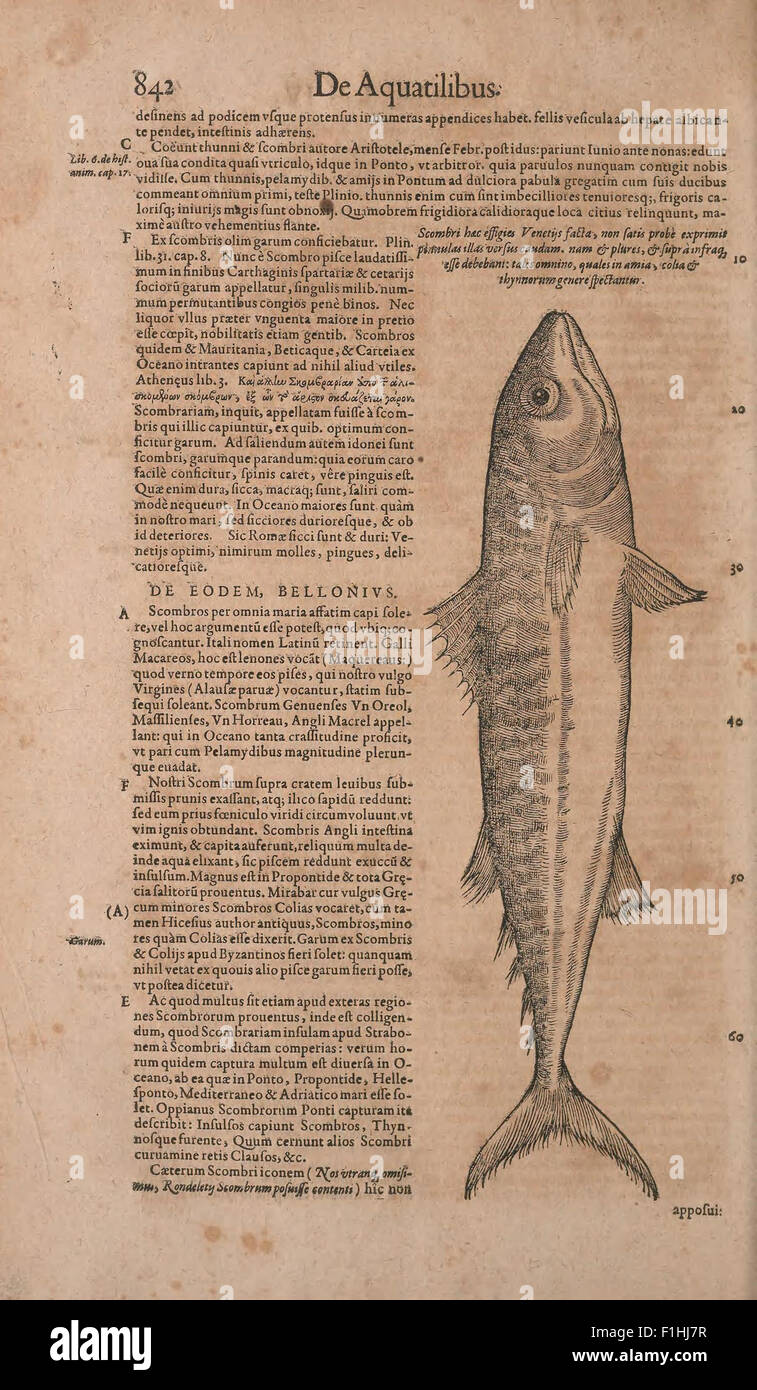 Conradi Gesneri's 'Historiae animalium liber IV' provides early works ...