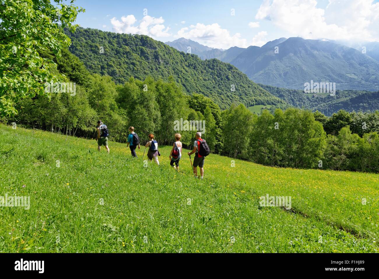 Five mature hikers hiking along hillside path, Grigna, Lecco, Lombardy ...