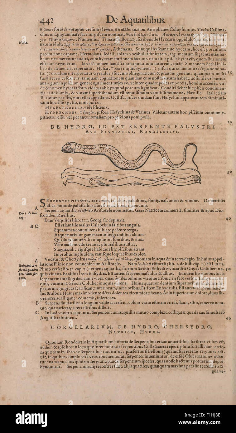 This 16th-century work by Conrad Gesner presents a detailed history of ...