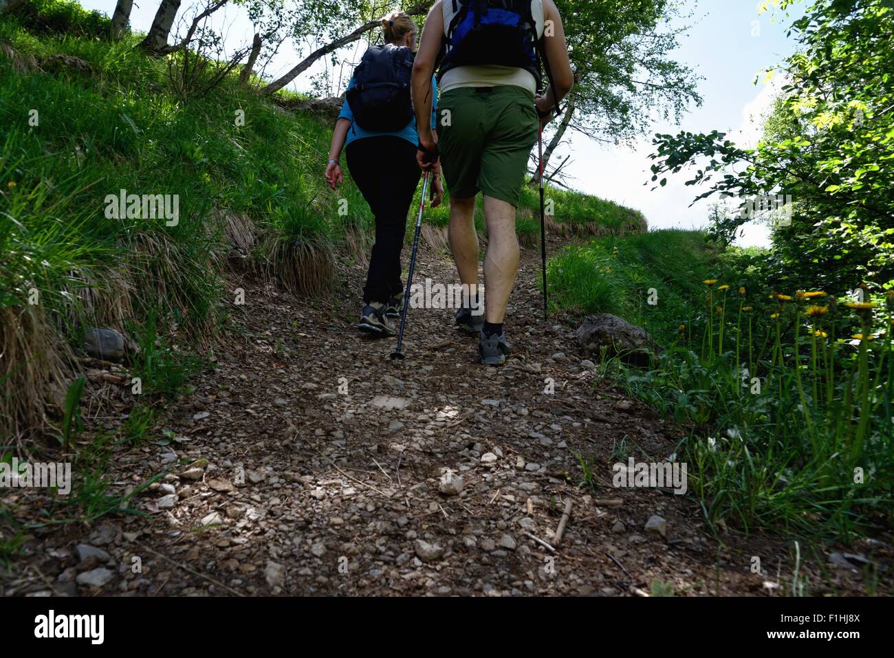 Mature path hi-res stock photography and images - Alamy