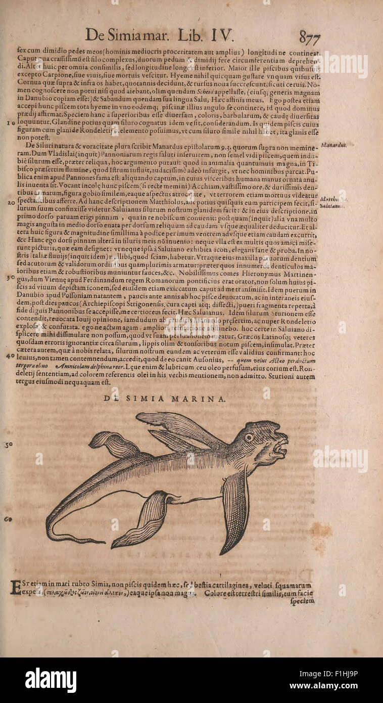 'Historiae Animalium Liber IV' by Conrad Gesner provides descriptions ...