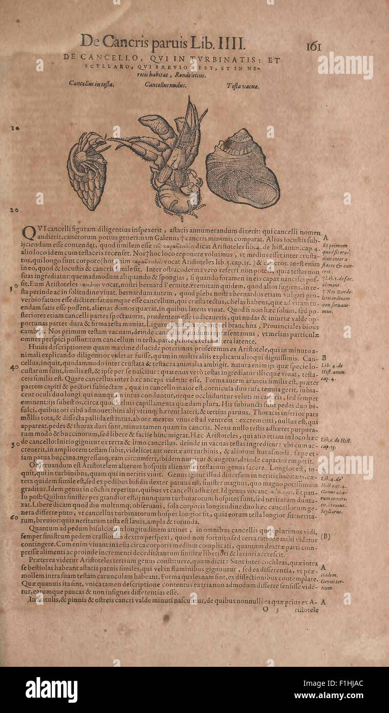 'Conradi Gesneri Historiae Animalium' (Liber IV) offers a historical ...