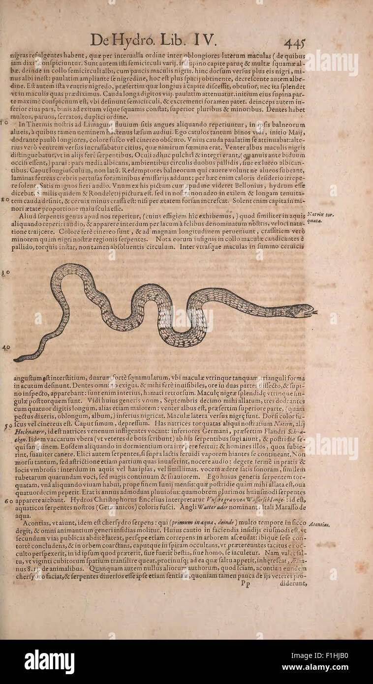 'Historiae Animalium' by Conrad Gesner is a classic work of zoology ...