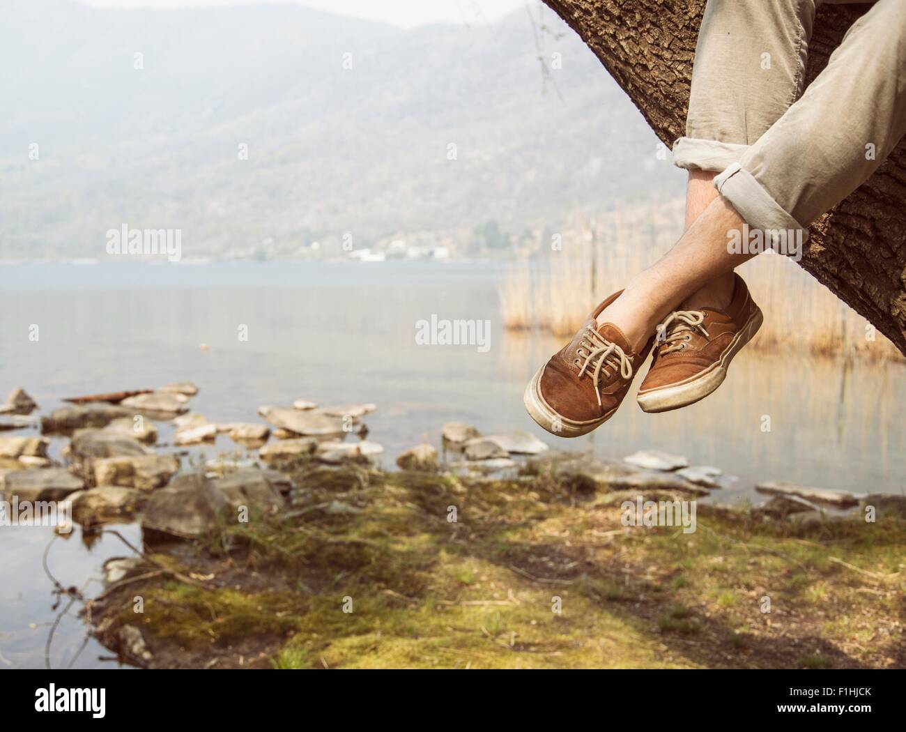 Mans feet dangling from tree on lakeside, Lake Mergozzo, Verbania ...